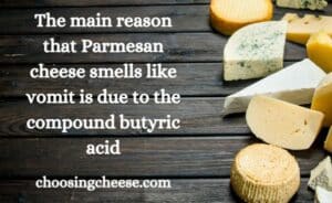 Can You Handle the Truth About Parmesan Cheese’s Pungent Odor? - Cheese ...