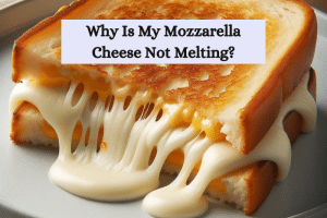 The Perfect Melt for Mozzarella Cheese - Cheese Lover Heaven